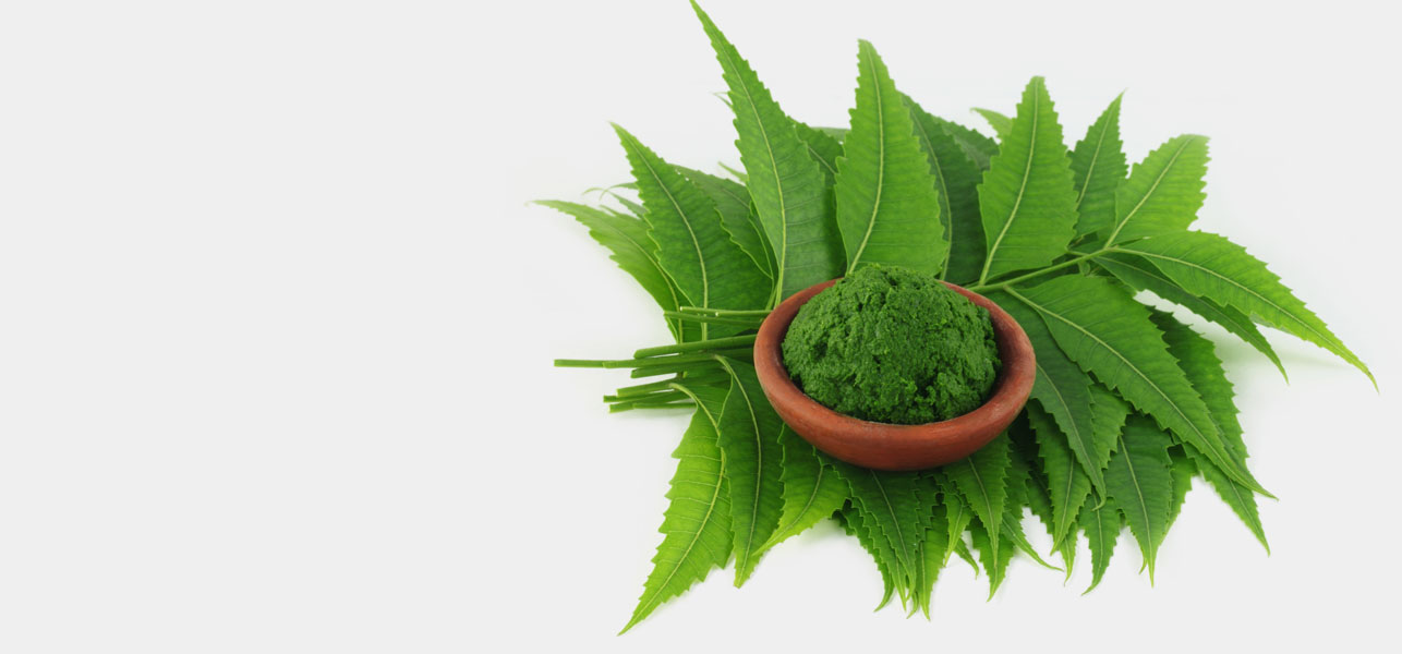 Unheard Benefits Of Neem Leaves Ayurvedum Unheard Benefits Of Neem Leaves Ayurvedum