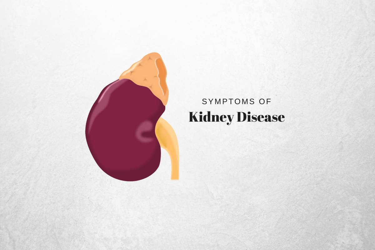 The Causes And Symptoms Of Kidney Problem – Ayurvedum
