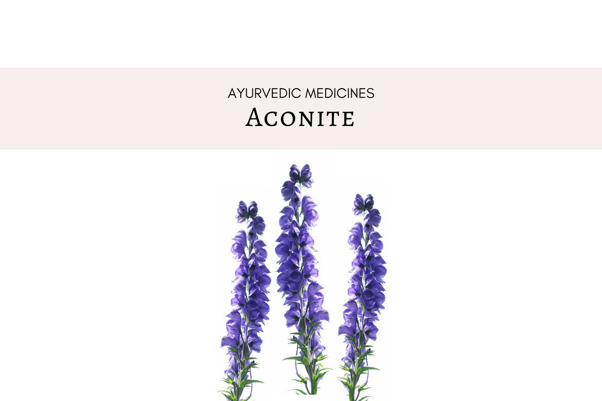Benefits Of Aconite (Including Dosage And Side Effects)