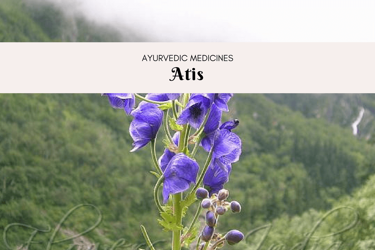 Health Benefits Of Atis (Plus Dosage And Side Effects)