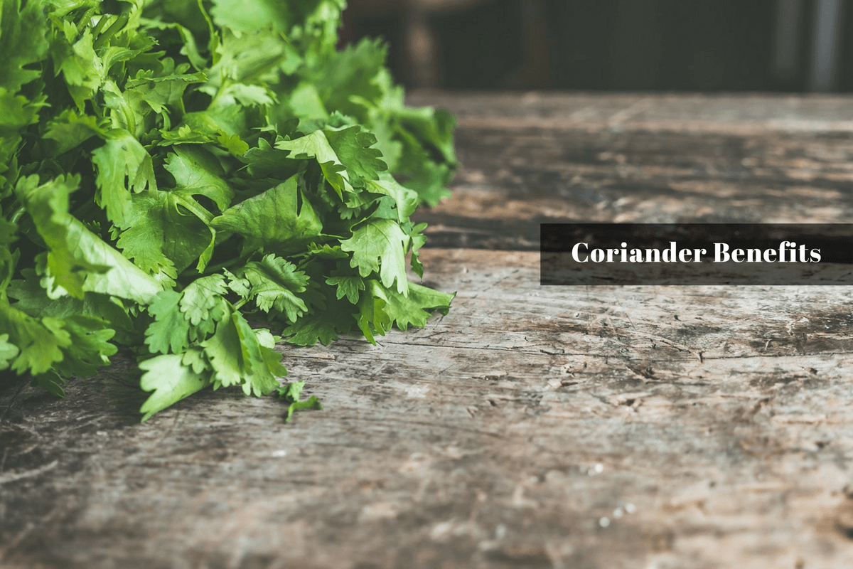 10 Fantastic Coriander Benefits You Might Not Want To Miss