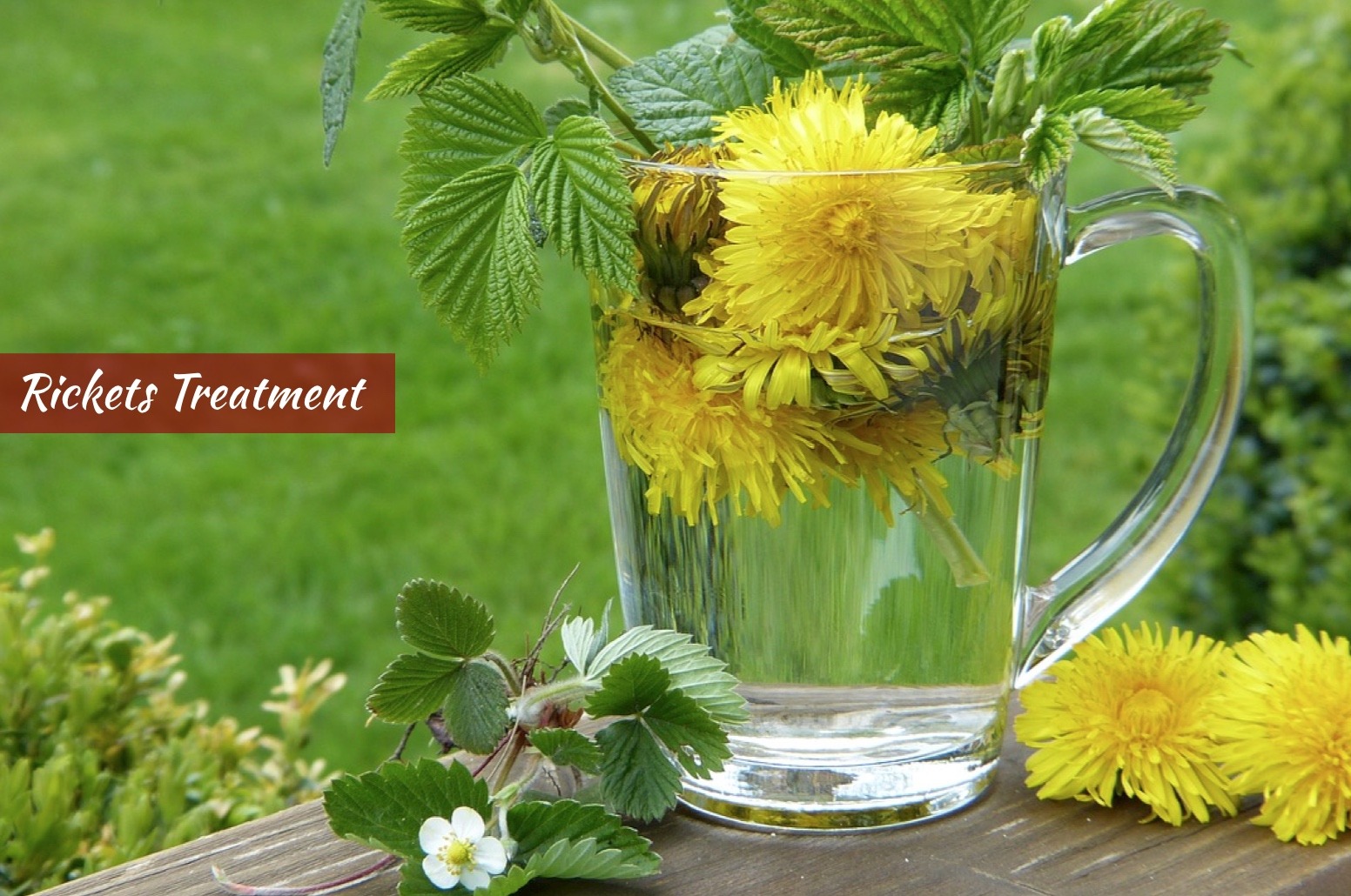 Rickets Treatment In Ayurveda Is Possible - This Is How!