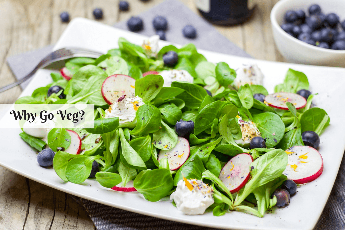 Why Go Vegetarian? Here’s An Ayurvedic Perspective