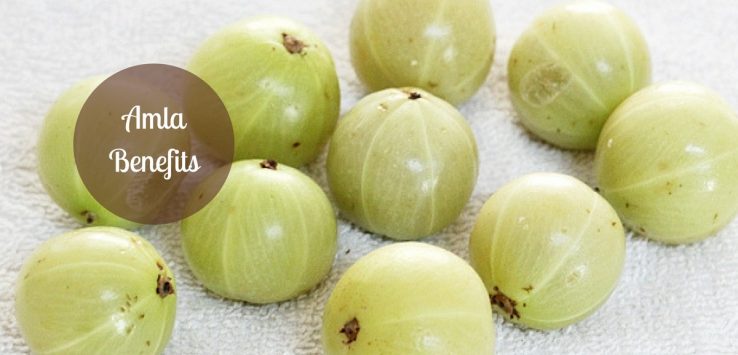 Healthy Food and Eating Tips To Stay Active and Fit - Ayurvedum