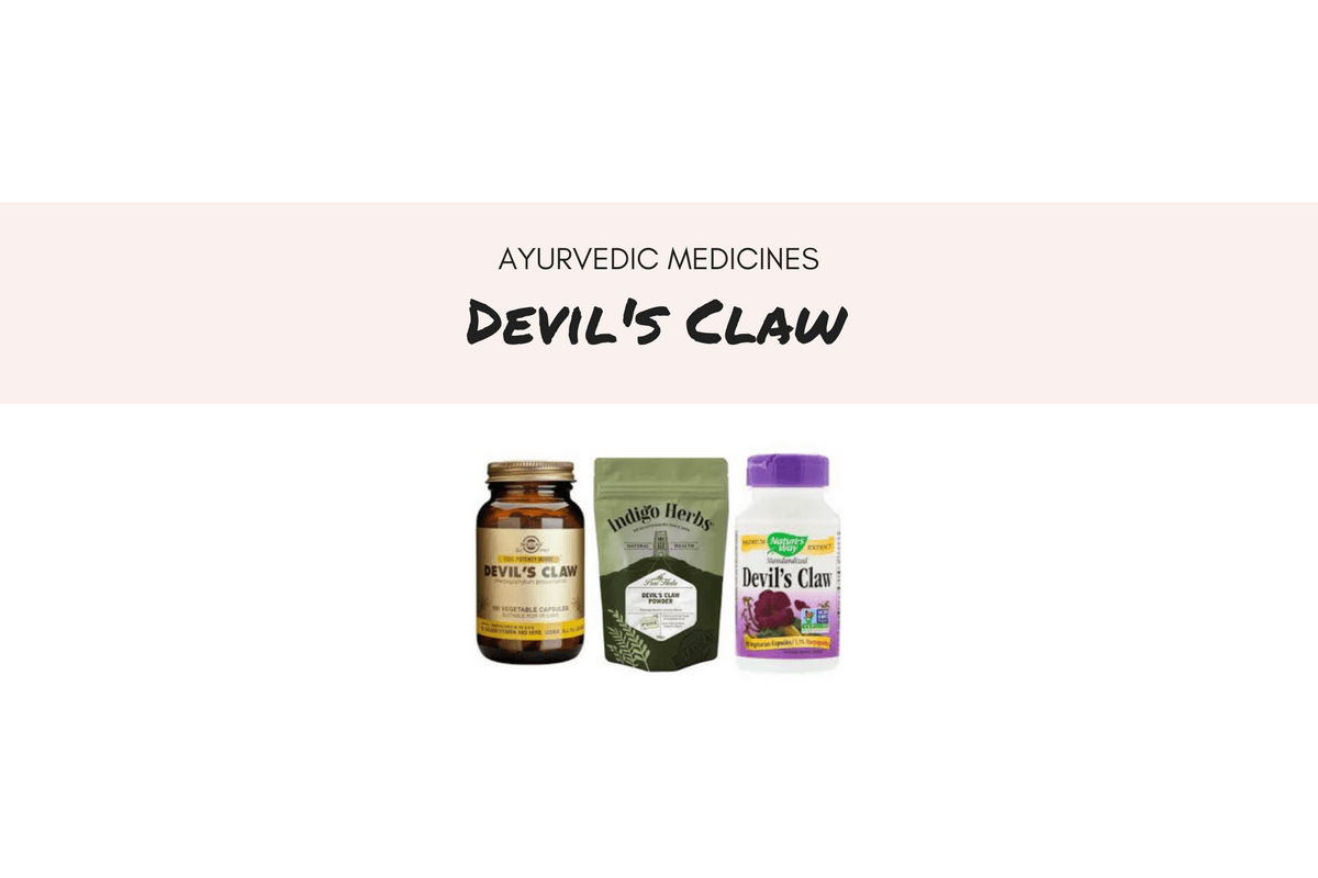 Devil’s Claw Uses As Well As Possible Side Effects – Ayurvedum