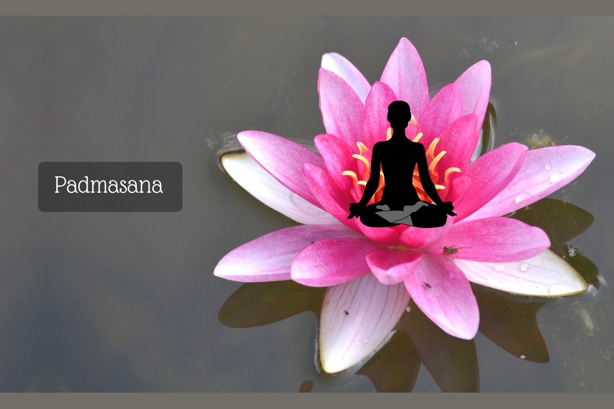 Padmasana or Lotus Pose: Seemingly Simple But Incredibly Powerful!