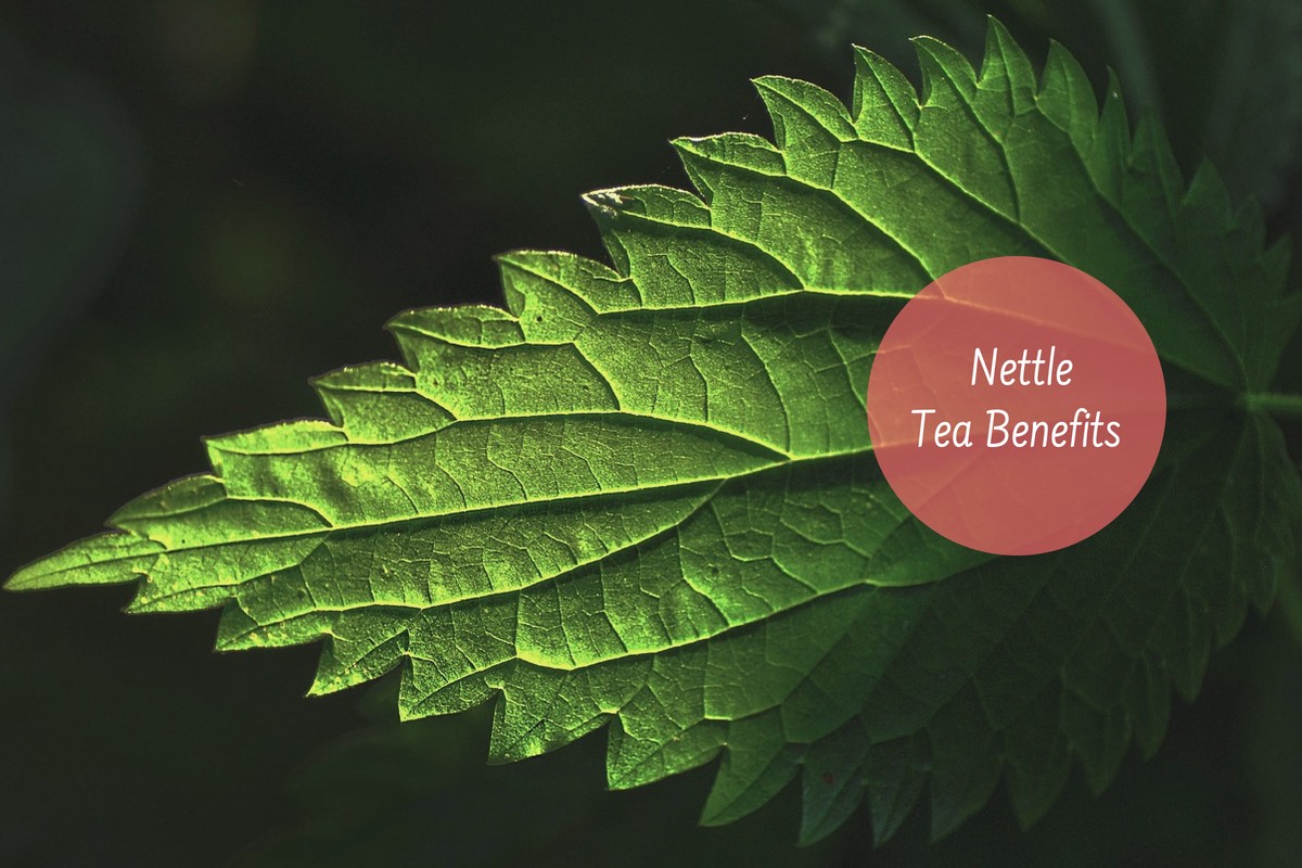 Nettle Tea Benefits: From Skin To Immunity And Detoxification