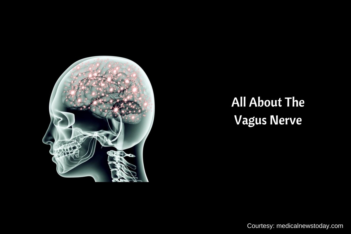 Vagus Nerve: Connecting Gut to Brain. A Key To Well-being!