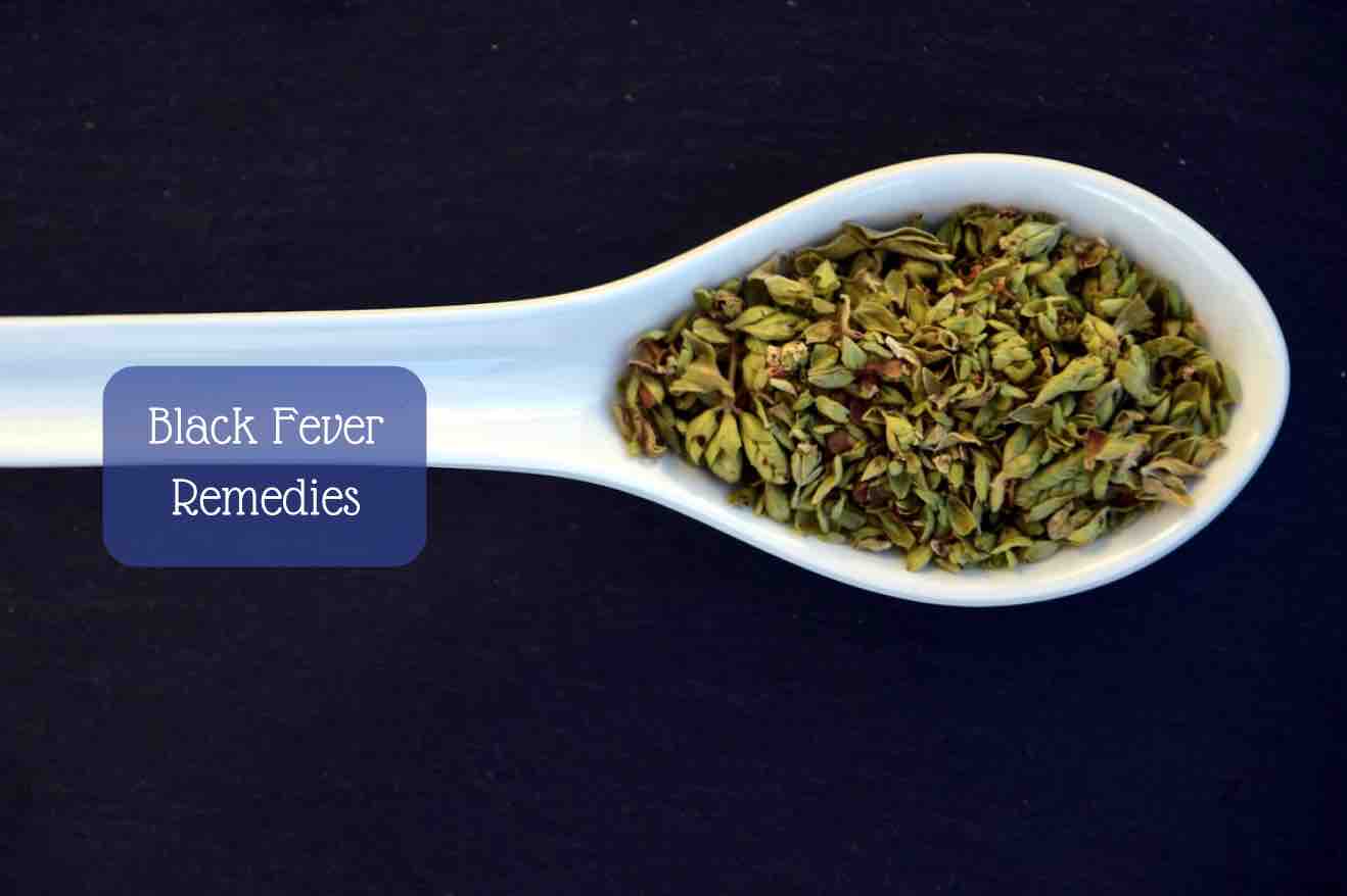 Black Fever A.K.A.. Kala Azar: Causes, Symptoms & Treatment