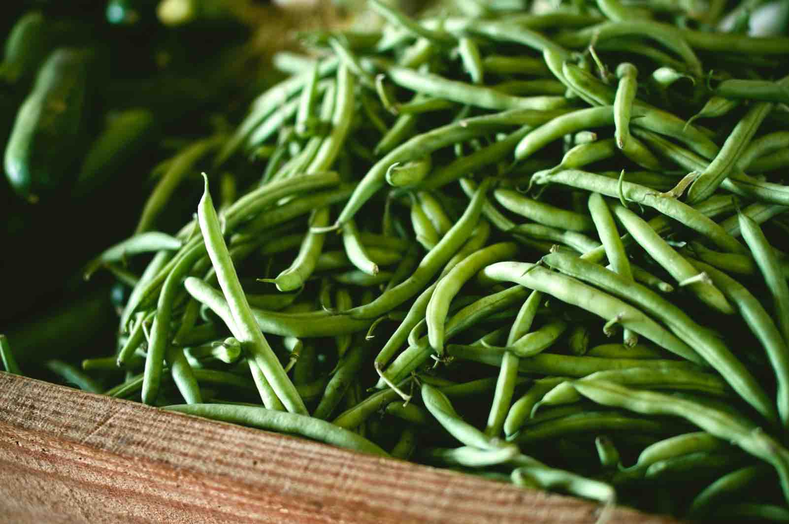 green beens nutrition facts - Ayurvedum