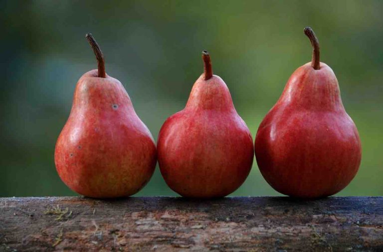 Benefits Of Eating Pears: A Humble, Nourishing & Delicious Fruit