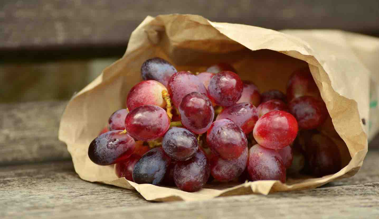 Health Benefits Of Grapes: Juicy Jewels Of Health And Beauty
