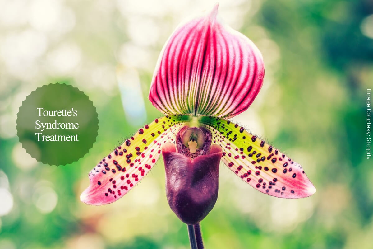 Tourette's Syndrome: Tics & Twitching Curable At Home