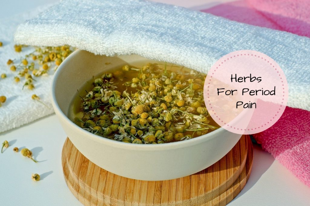 herbs for menstrual cramps - Ayurvedum herbs for menstrual cramps - Ayurvedum