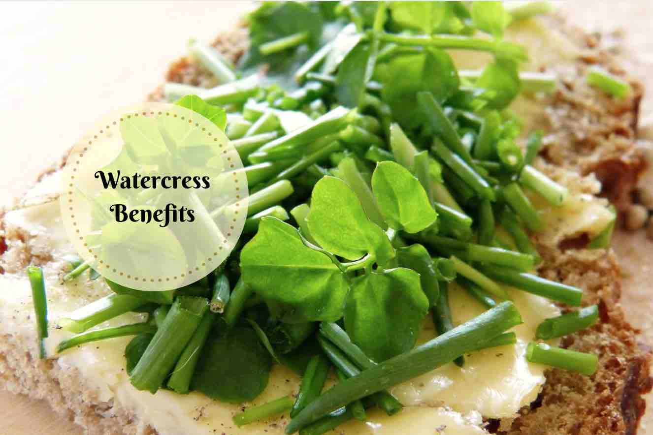 Watercress Benefits You'll Be Glad You Discovered Today!