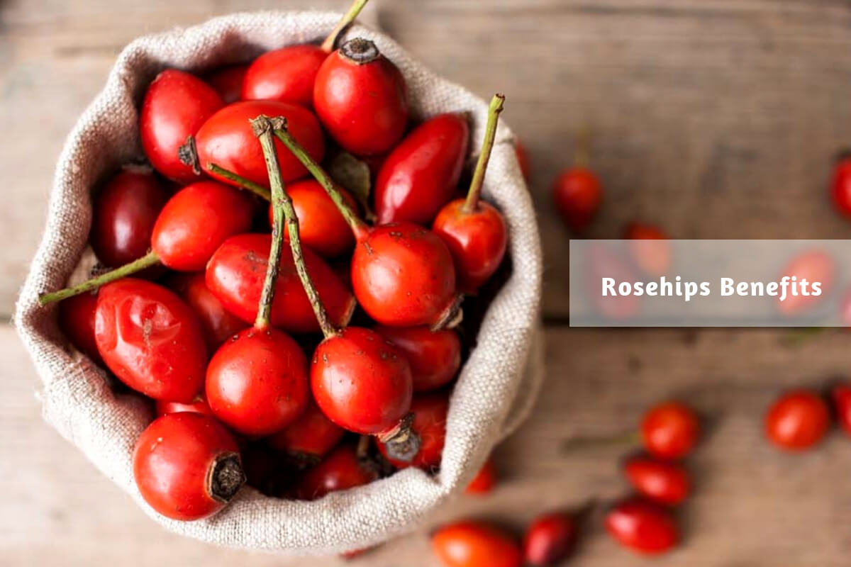 Rose Hips Benefits: Berries That Boost Your Overall Well Being