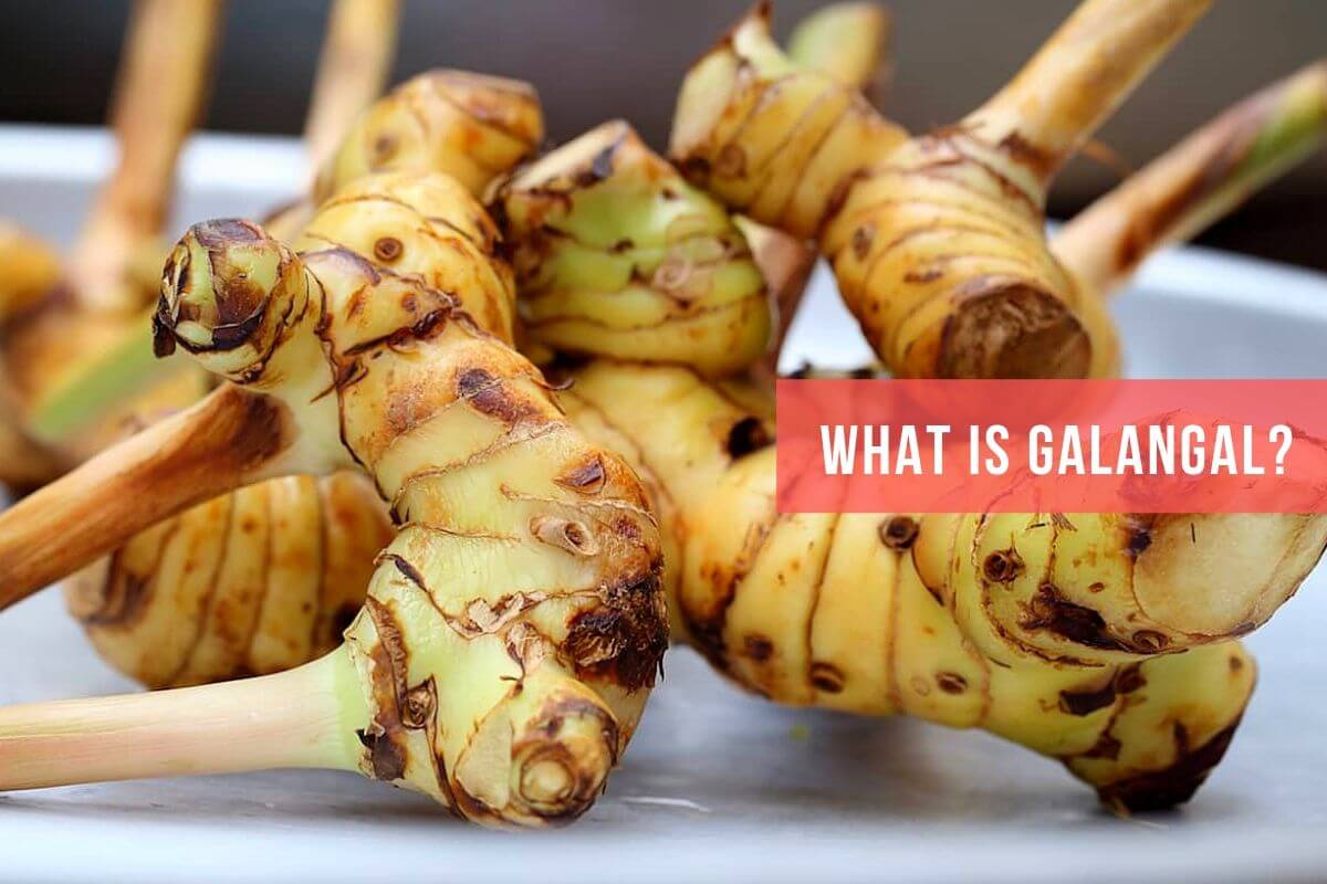 What Is Galangal? Here's All You Need To Know About This Healing Spice!