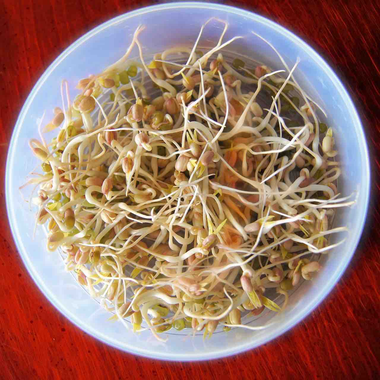 Are Sprouts Healthy To Eat As Per Ayurvedic Diet Principles?