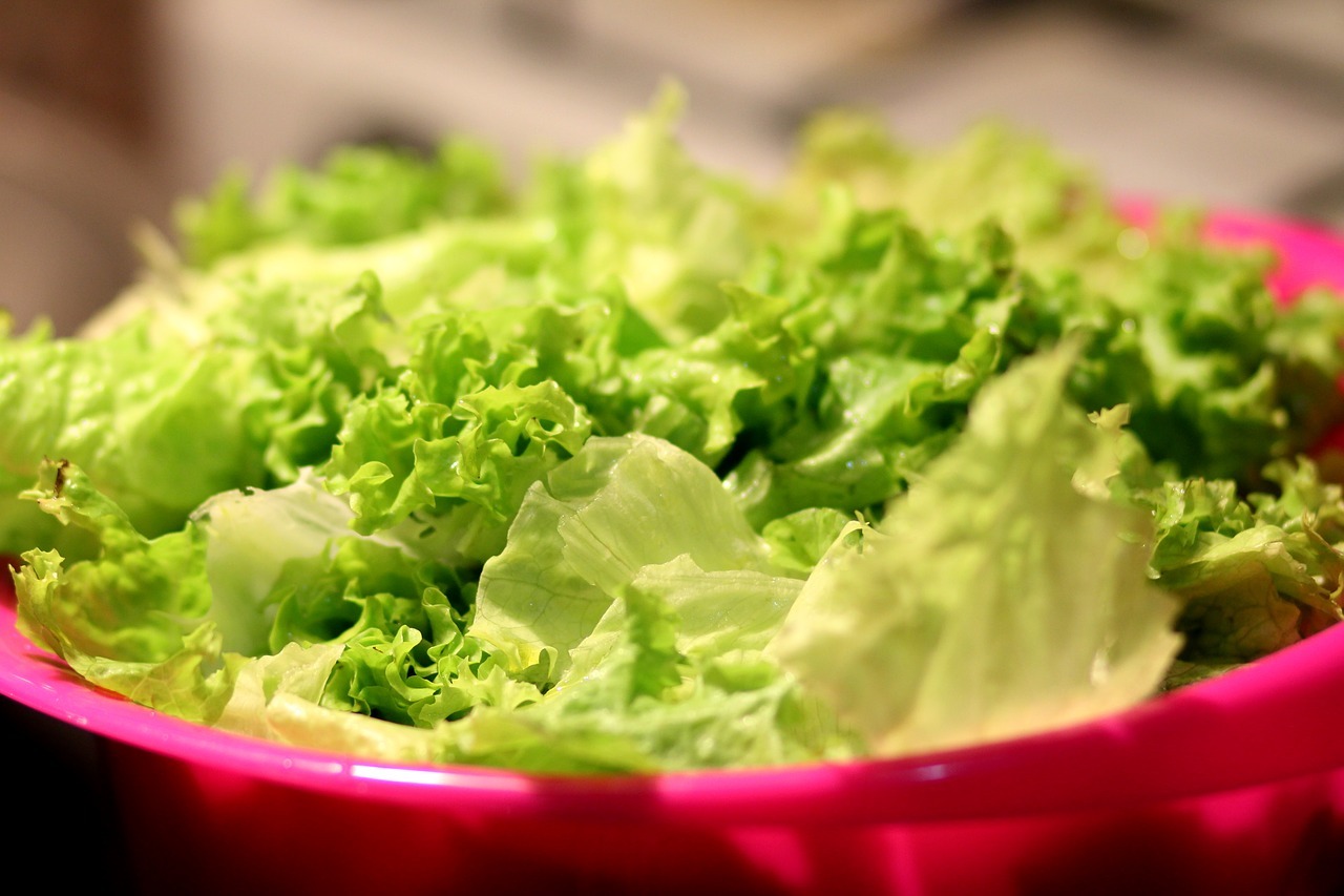 lettuce vegetable - Ayurvedum