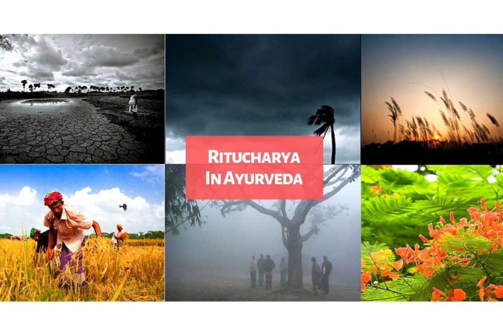 ritucharya in ayurveda _ Ayurvedum - Ayurvedum