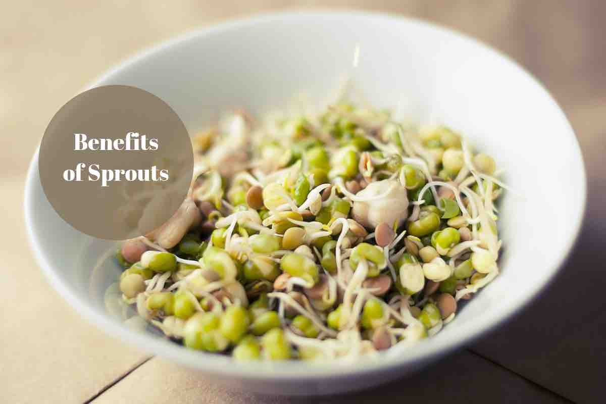 Are Sprouts Healthy To Eat As Per Ayurvedic Diet Principles?