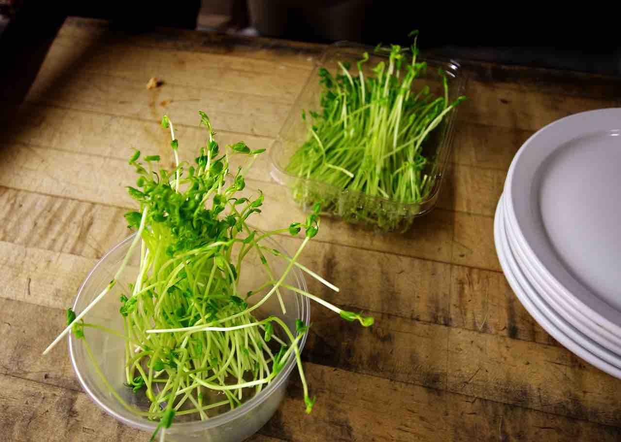 Are Sprouts Healthy To Eat As Per Ayurvedic Diet Principles?