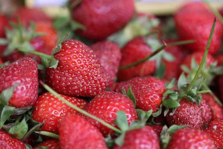 Health Benefits Of Strawberries That'll Make You Go "WOW!"