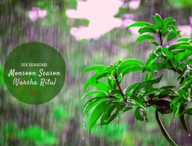 Summer Season (Grishma Ritu): Beat The Heat With Ayurveda