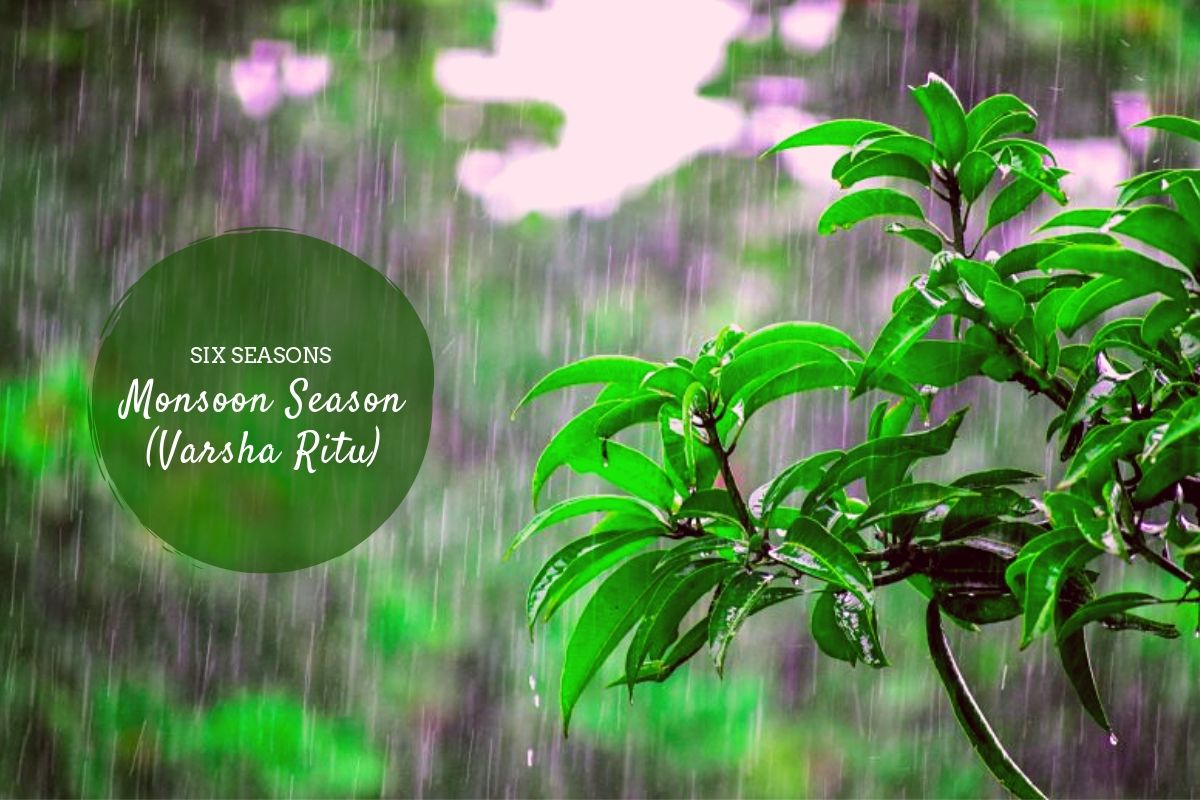 Monsoon Season (Varsha Ritu): Ways To Stay Safe And Enjoy The Rain