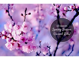 Summer Season (Grishma Ritu): Beat The Heat With Ayurveda